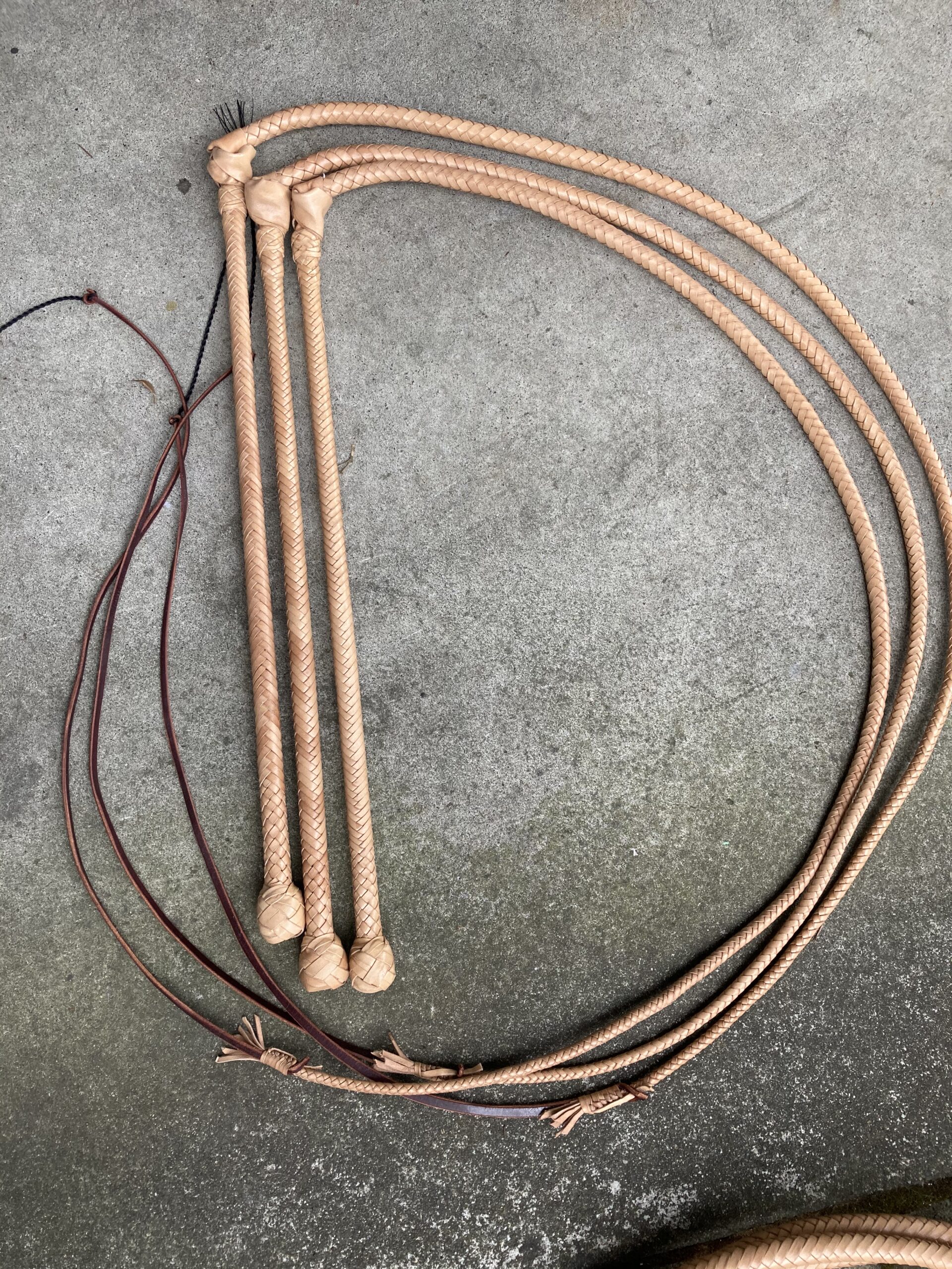Bullwhips.org – Page 2 – Handmade Bullwhips by Louie