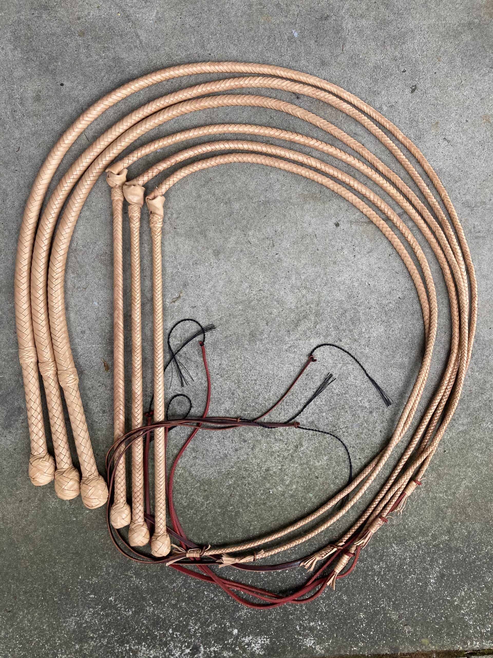 Finished Six Whips – Bullwhips.org