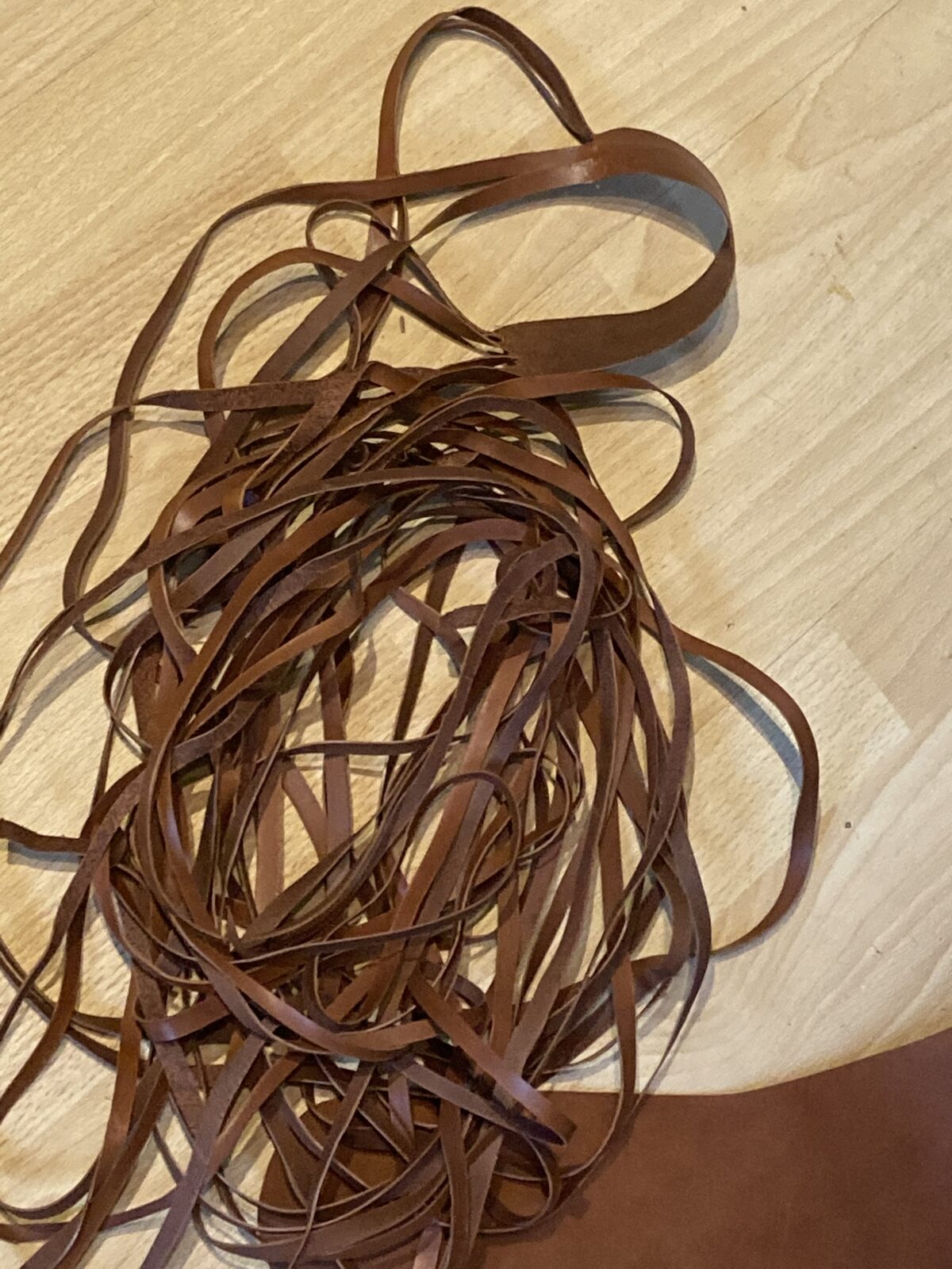 Hunt Whip Thong – 6 Foot – Bullwhips.org