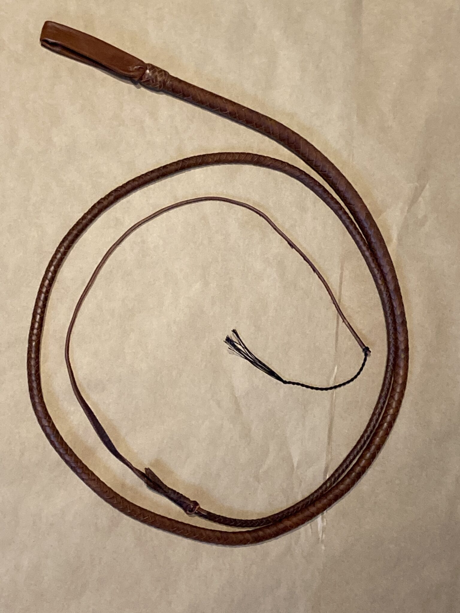 Hunt Whip Thong – 6 Foot – Bullwhips.org