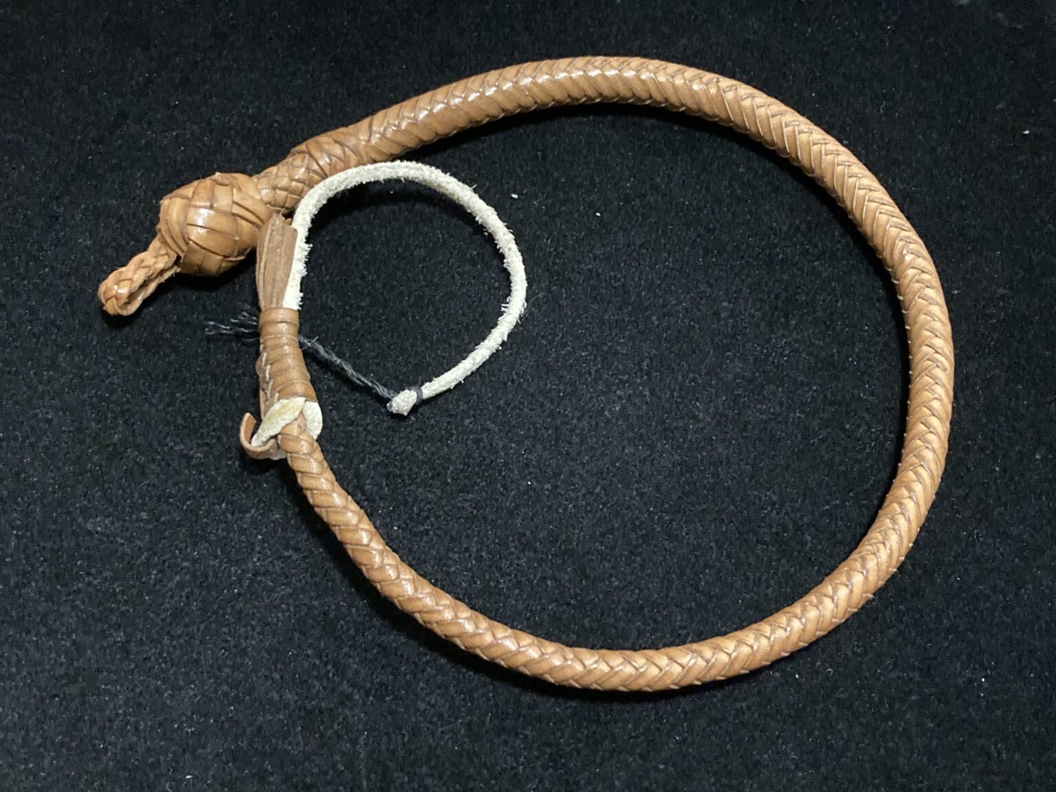 Mini bullwhip – Bullwhips.org