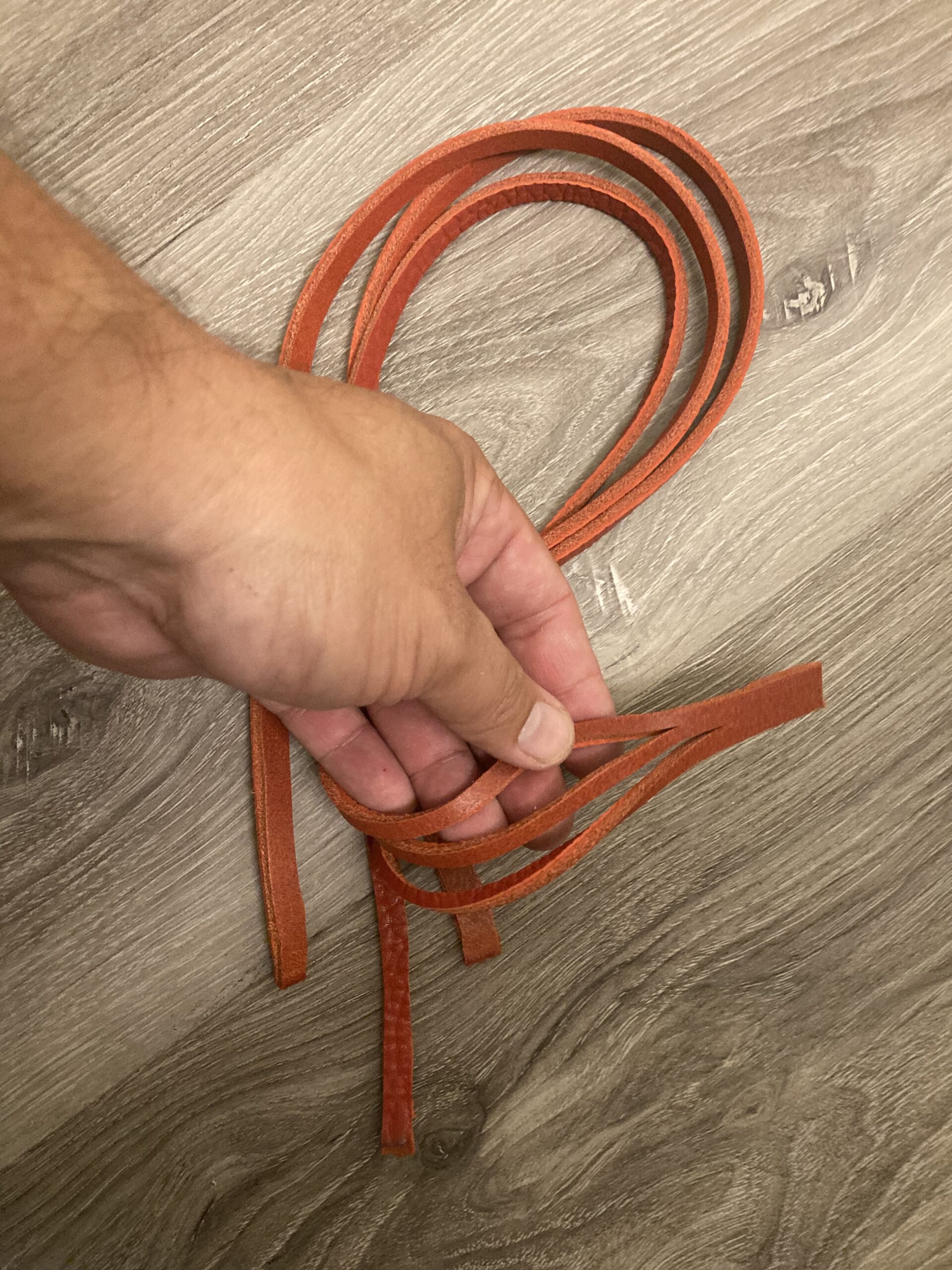 Bullwhips.org – Handmade Bullwhips by Louie